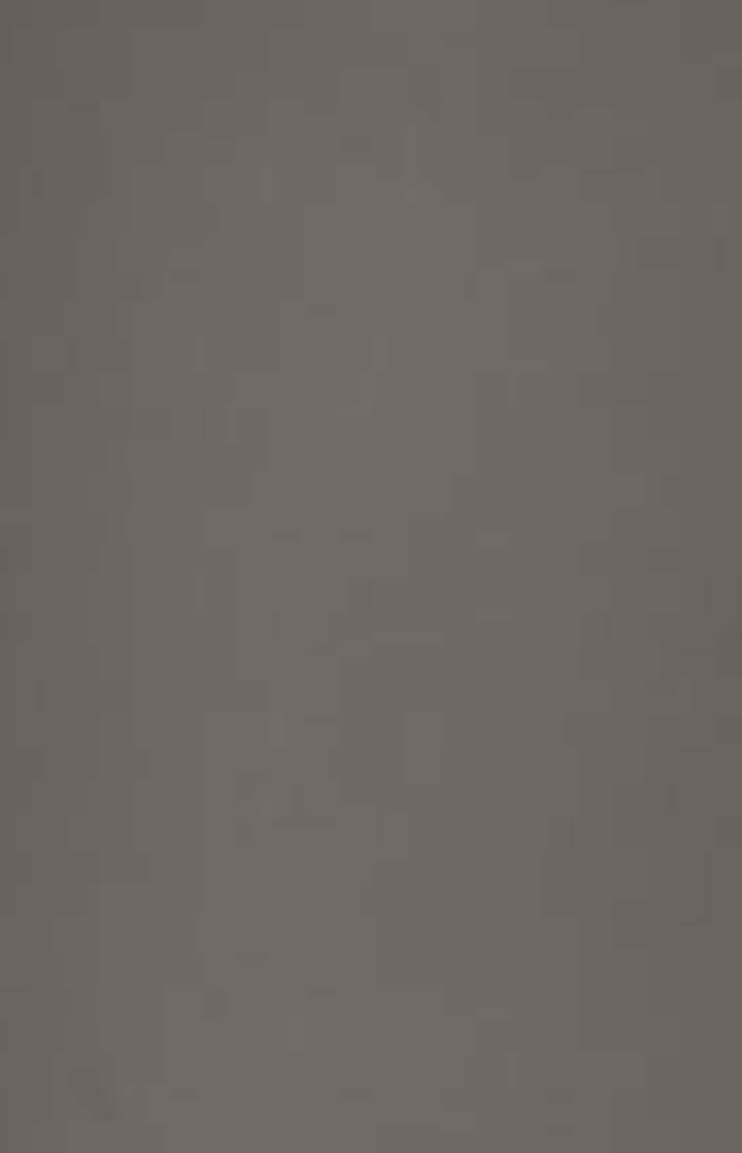 GRIS-TOPO.jpg.jpg?v=638844702668430000